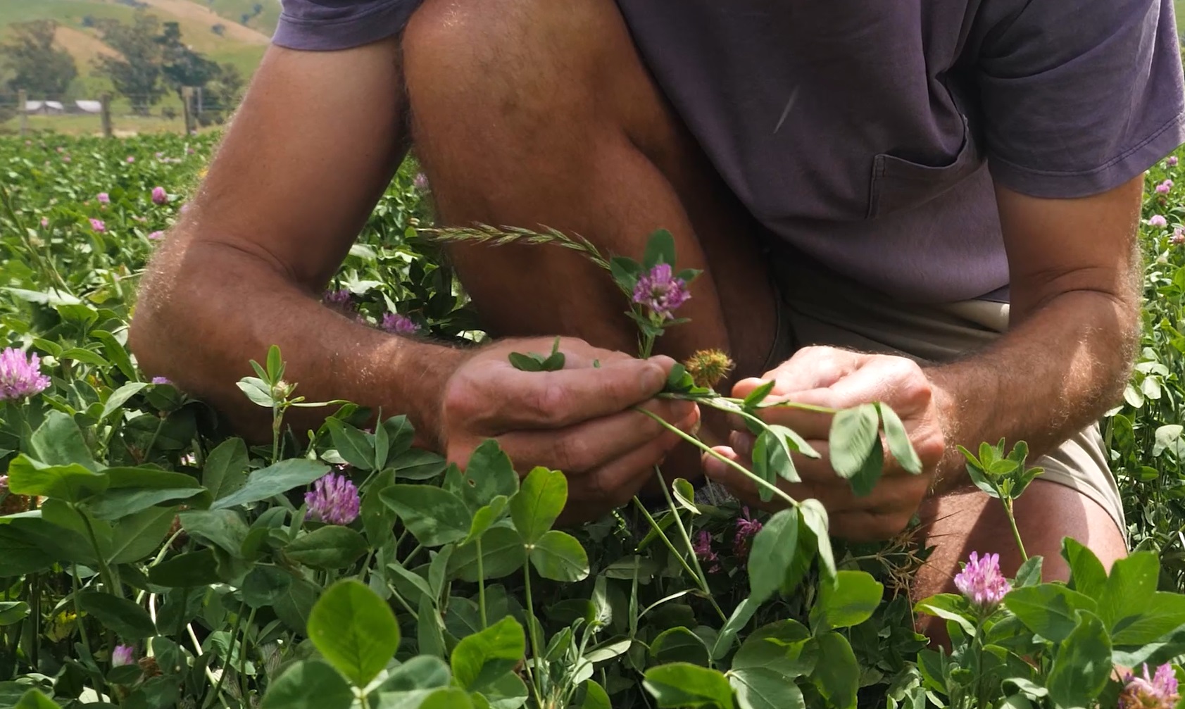 Atkins RanchGlen Eden: A Multi-Generational Success Story - Atkins Ranch